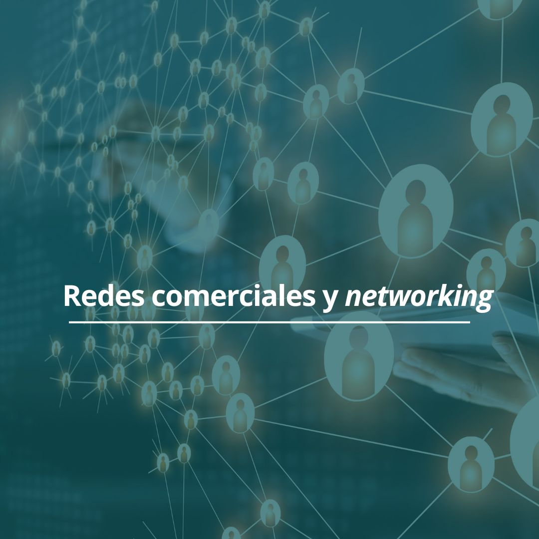 Networking: maximizar las redes comerciales